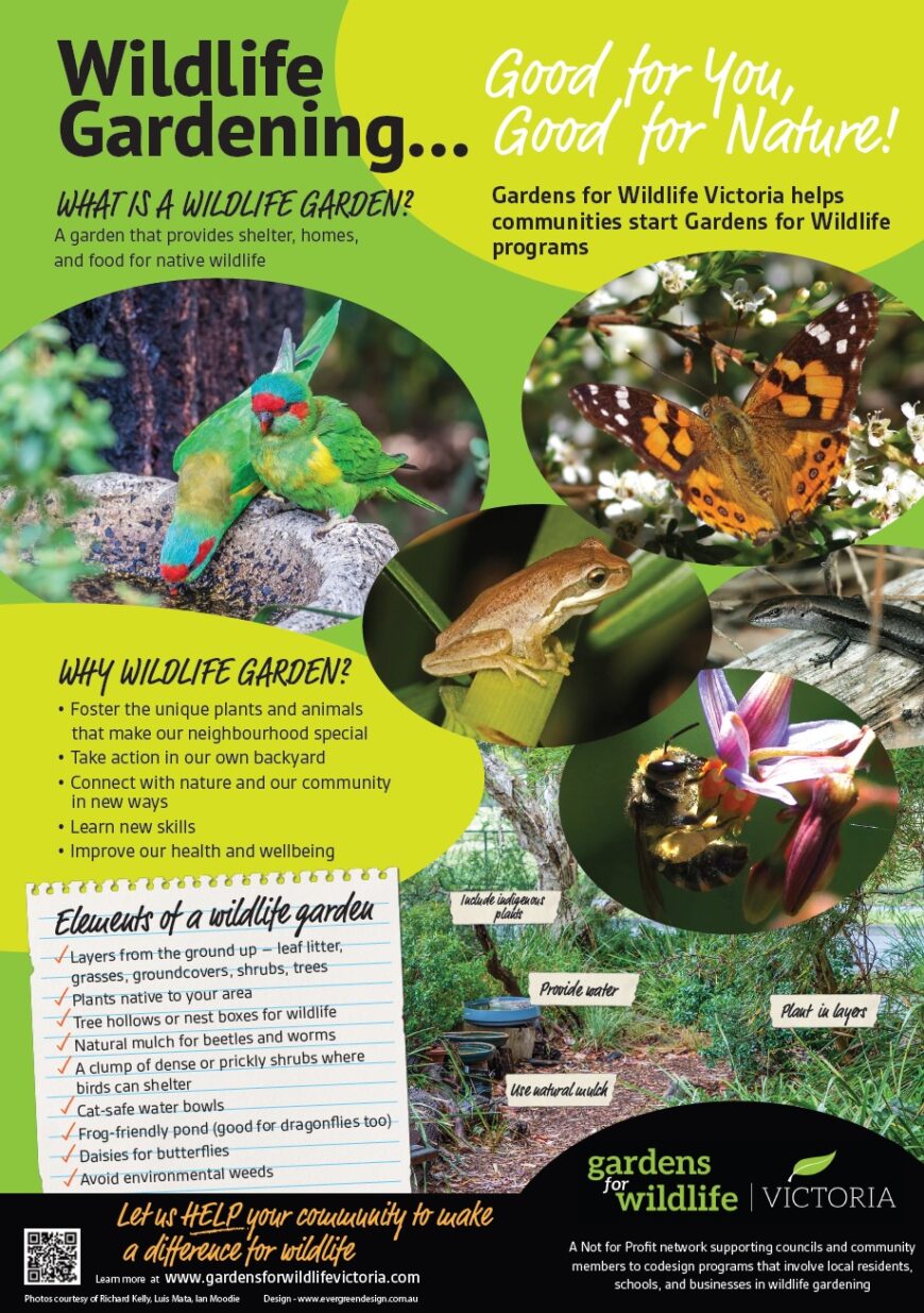 Wildlife Gardening Posters – Gardens for Wildlife Victoria