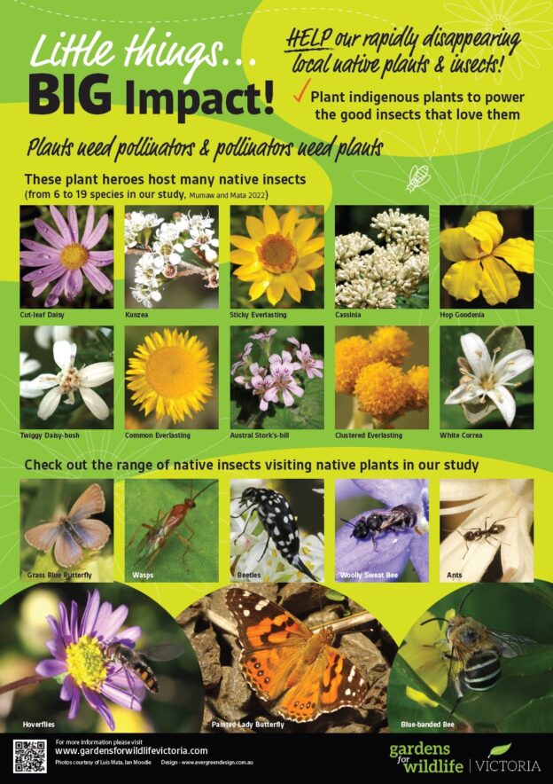 Wildlife Gardening Posters – Gardens for Wildlife Victoria